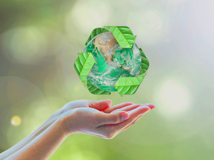 Waste Disposal & Recycling | Waste Management |BWR LLC